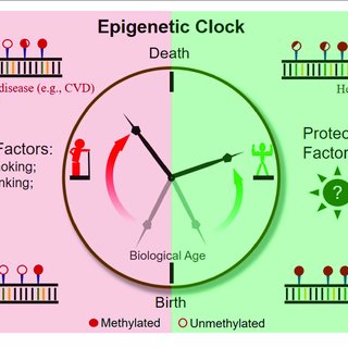 Science Concept | Dr. Alexander Haslberger